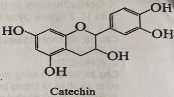 giúp e vs ạ Câu 52. Catechin là một chất khoáng oxi hóa mạnh, ức 66285c803dfb9604ed3f9b3a | Fqa.vn