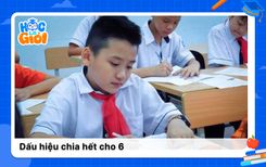 Tổng hợp kiến thức về dấu hiệu chia hết cho 6 cấp 2 | Hoclagioi.vn